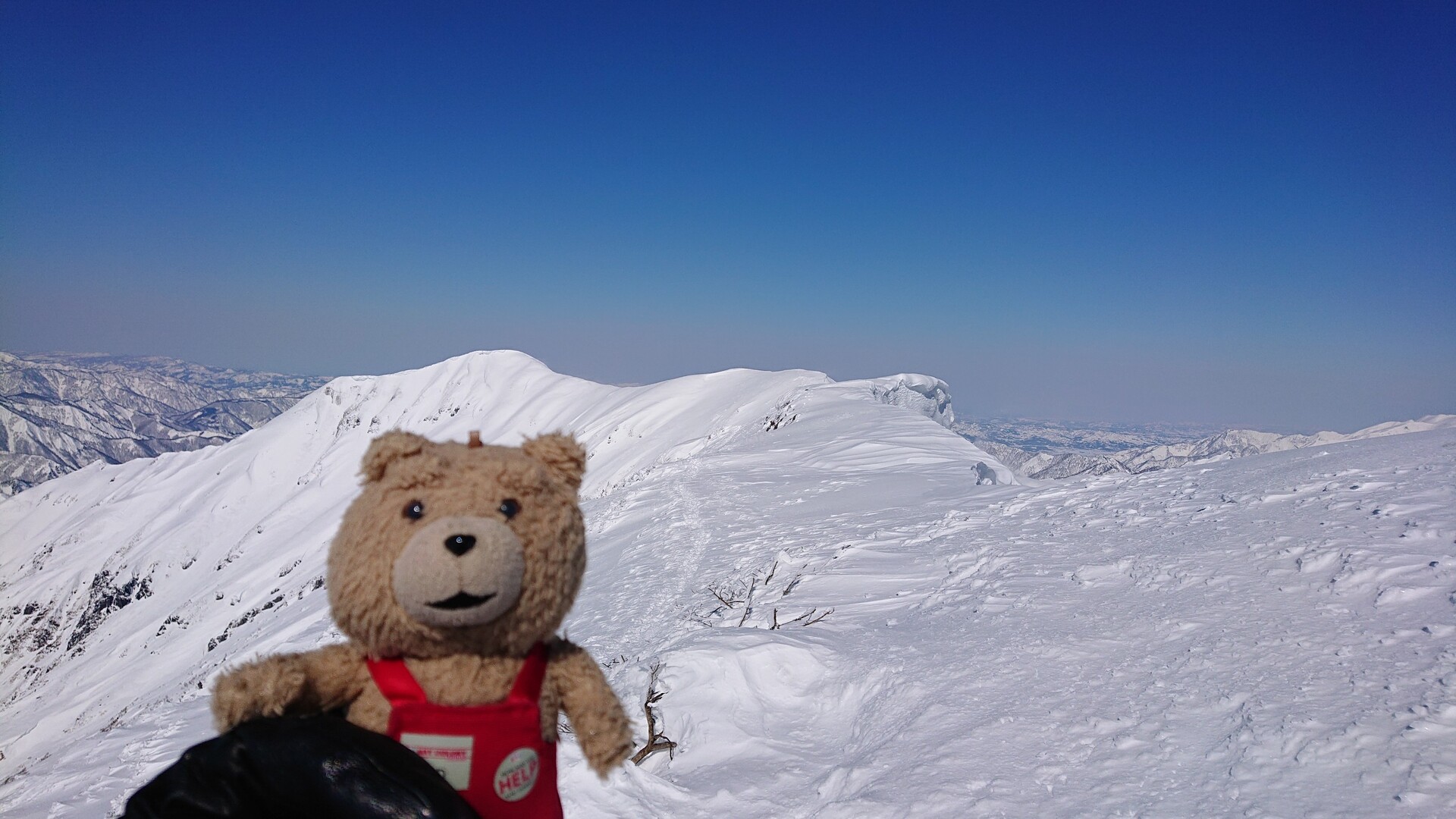 🐻kayo🐱のページ | YAMAP / ヤマップ