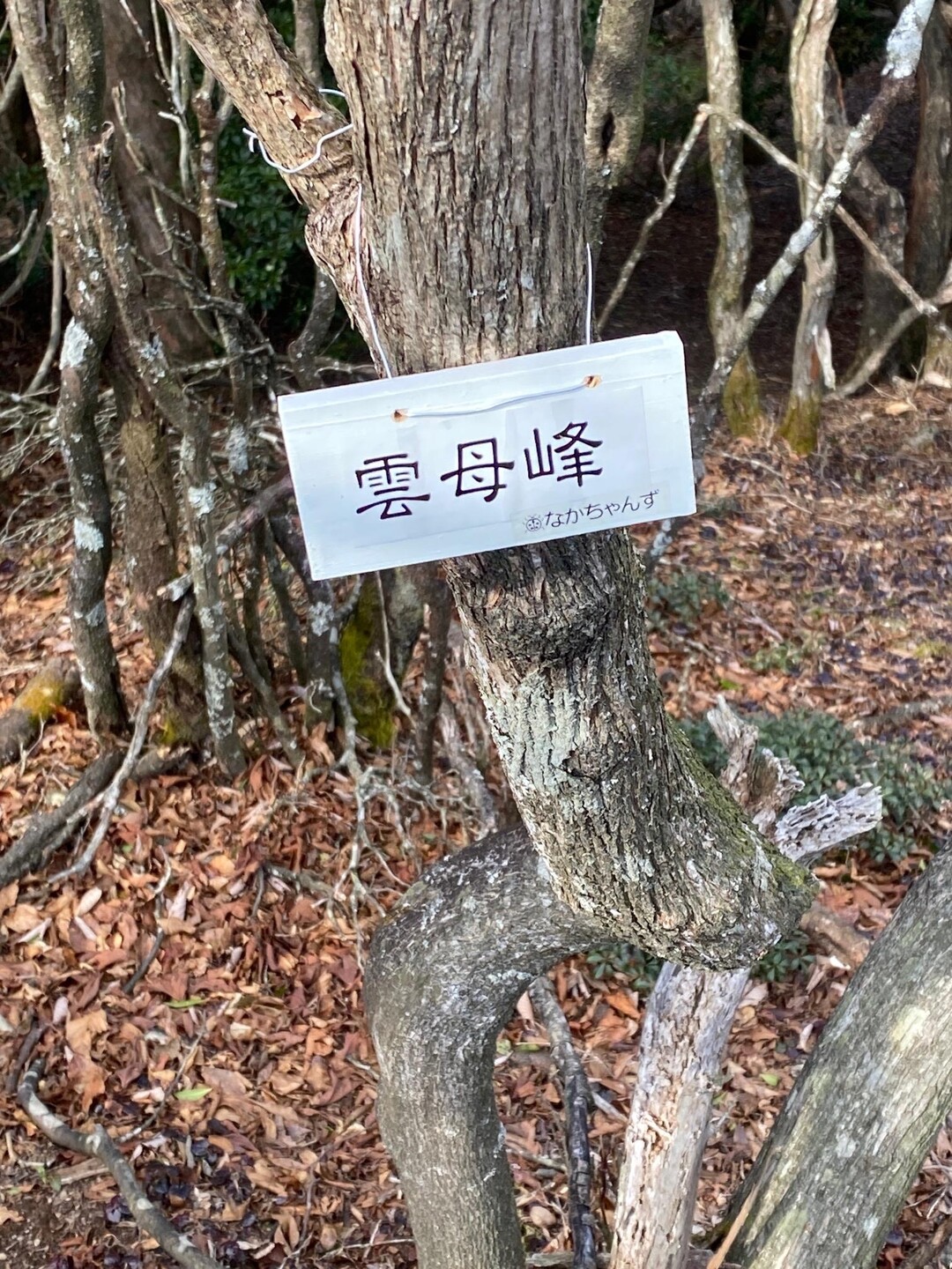 貸切山！雲母峰Ⅱ峰・雲母峰・雲母西峰 / 平日山歩部⛰MKさんの入道ヶ岳・鎌ヶ岳・仙ヶ岳の活動データ | YAMAP / ヤマップ