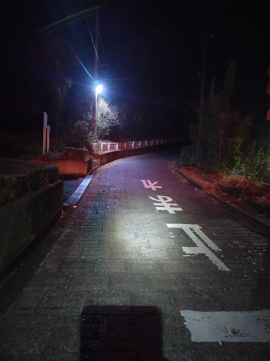 【休足後の朝JOG】 2025.1.10... / ダンさんのモーメント | YAMAP / ヤマップ