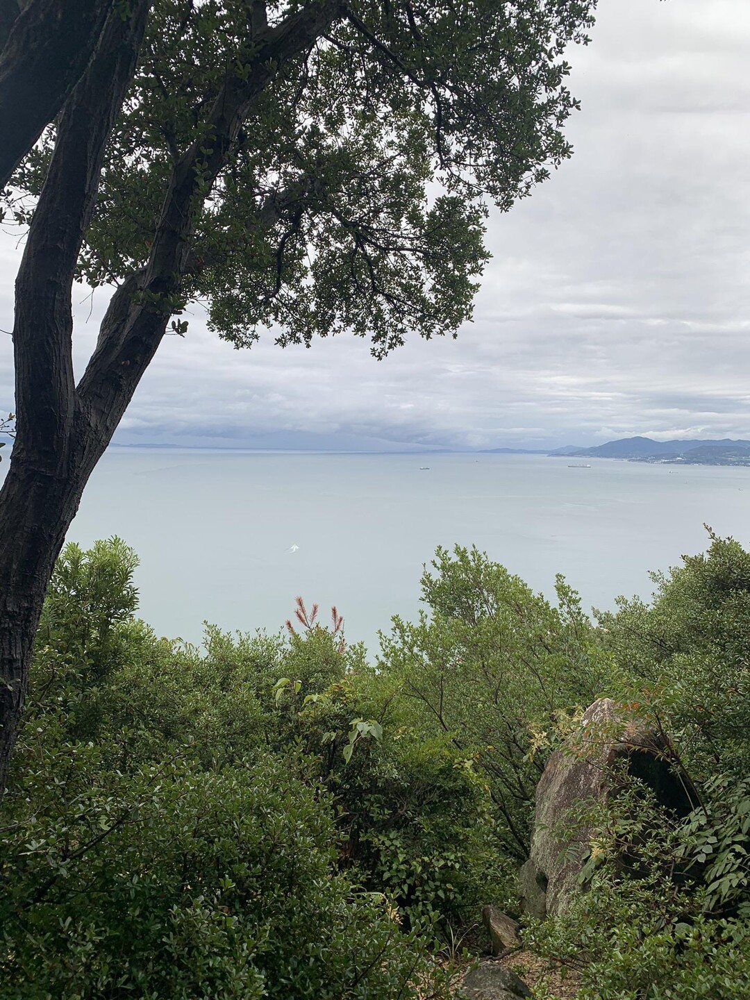 夫がFlash Trail 80kmに出... / pu_sanさんのモーメント | YAMAP / ヤマップ