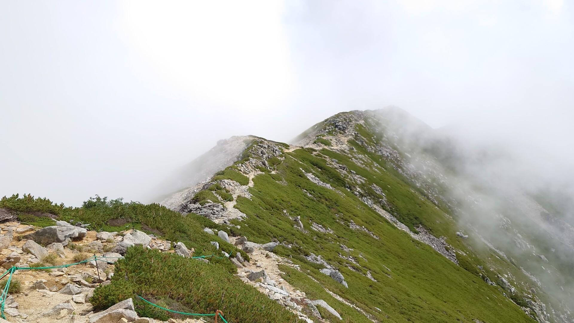 りりさんの投稿したフィールドメモ | YAMAP / ヤマップ