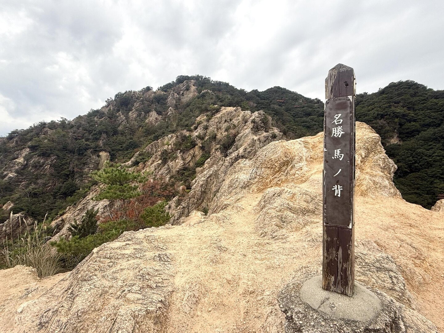 六甲半縦走【西】 / るーさんの六甲山・長峰山・摩耶山の活動データ | YAMAP / ヤマップ