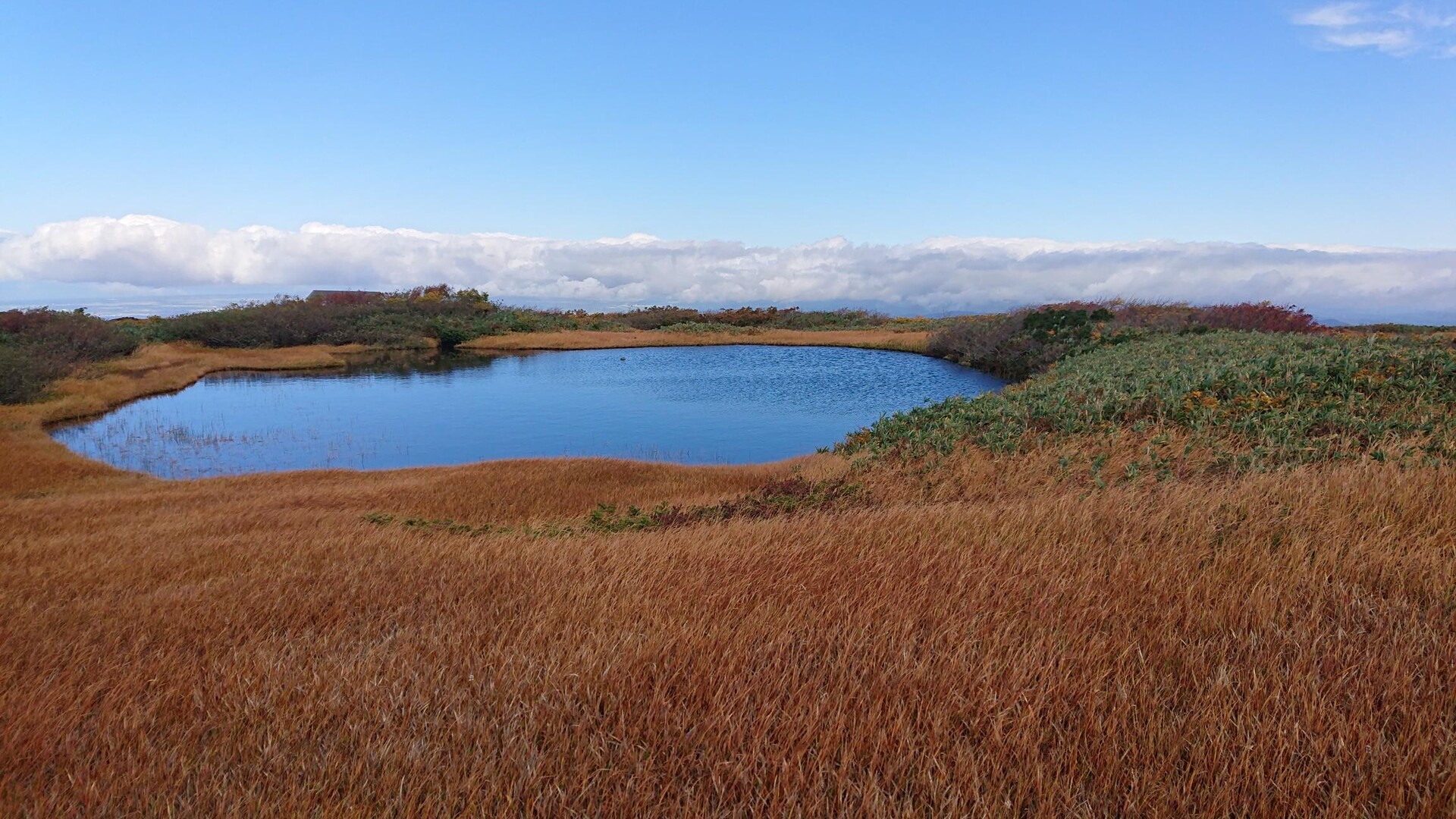 月山-弥陀ケ原散歩 / mune-Zさんの月山の活動データ | YAMAP / ヤマップ