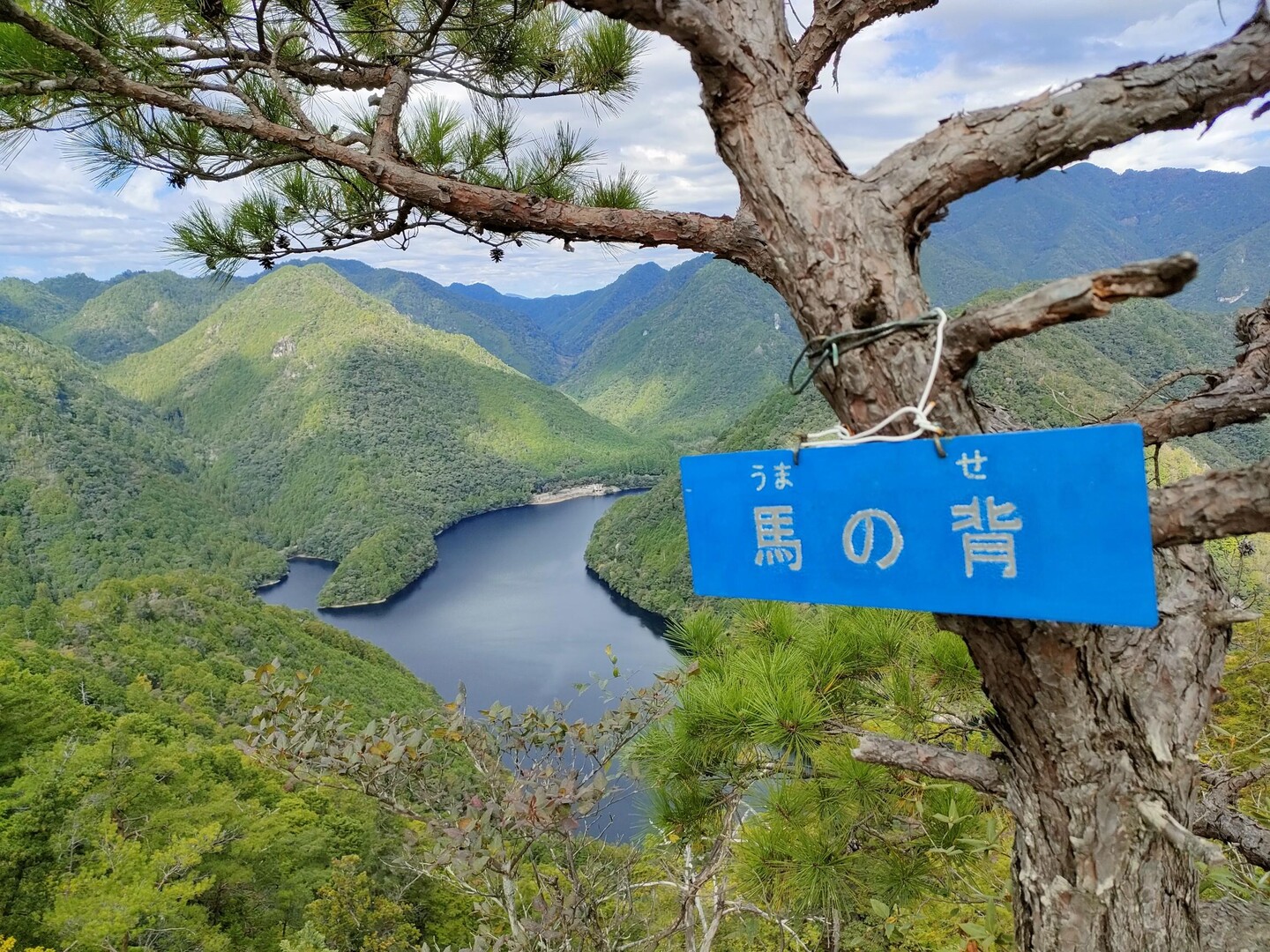 miyaさんの投稿したフィールドメモ | YAMAP / ヤマップ