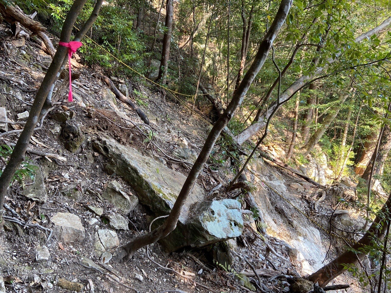 🍊ORANGE🍊さんの投稿したフィールドメモ | YAMAP / ヤマップ