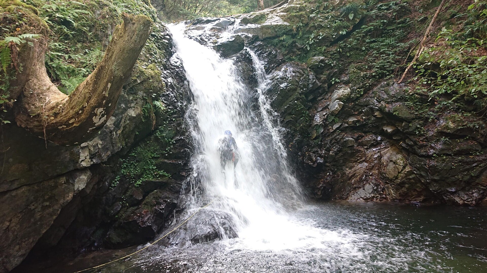 秋だけど…奥の深谷へ / t-setoさんの比良山地・武奈ヶ岳・釈迦岳の活動日記 | YAMAP / ヤマップ
