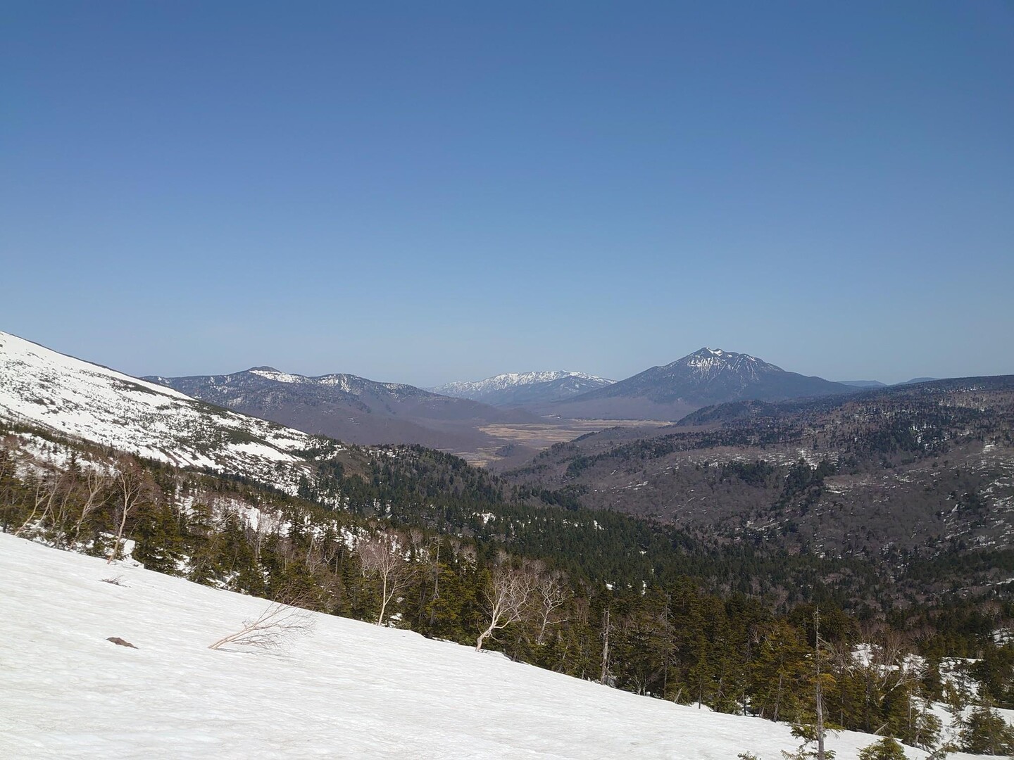 至仏山・悪沢岳 / mayuさんの尾瀬・至仏山・悪沢岳・笠ヶ岳の活動データ | YAMAP / ヤマップ