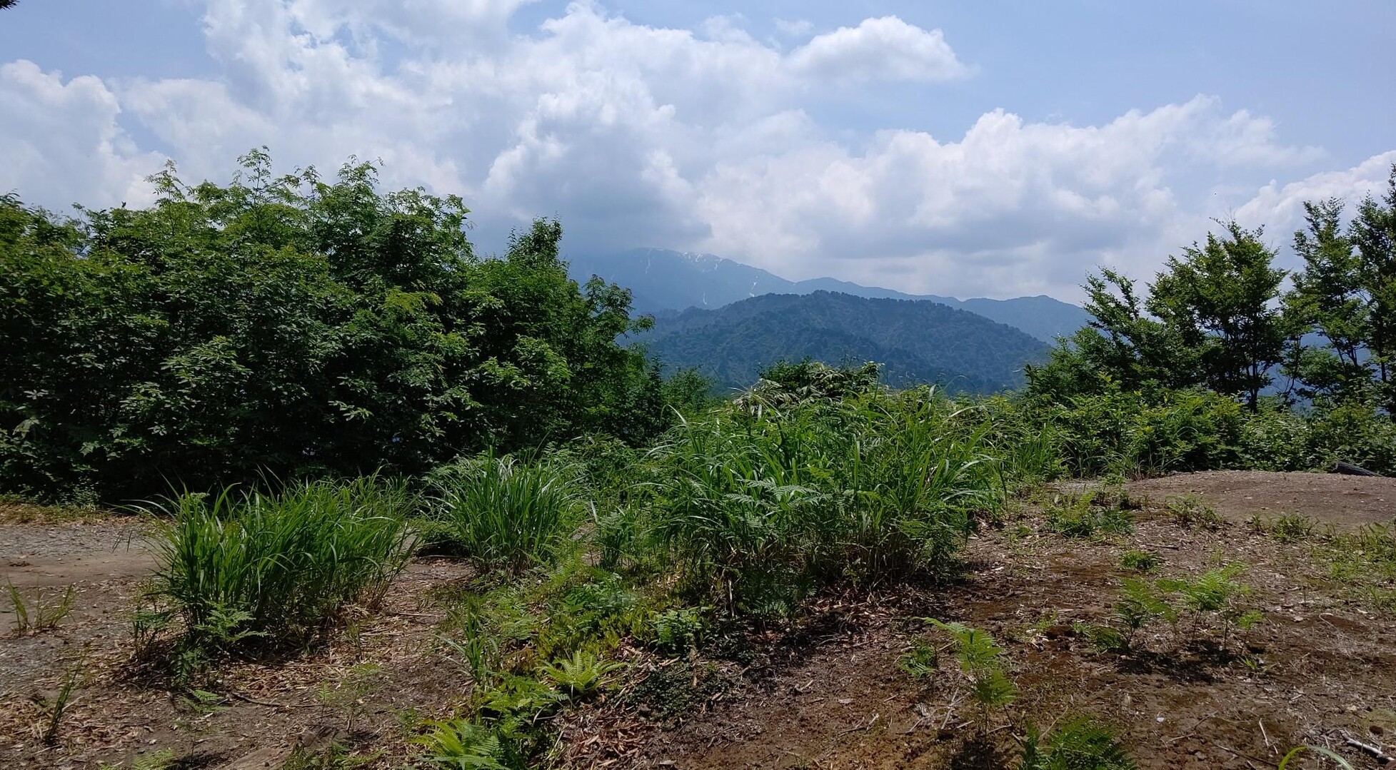 千石城山 / kam-tさんの千石城山の活動データ | YAMAP / ヤマップ