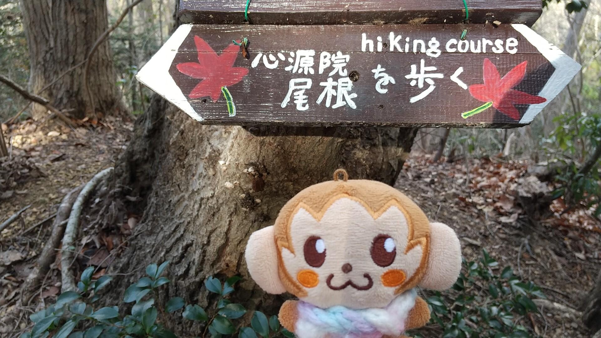 心源院尾根～蛇滝口🐻 / kumakoさんの高尾山・陣馬山・景信山の活動データ | YAMAP / ヤマップ