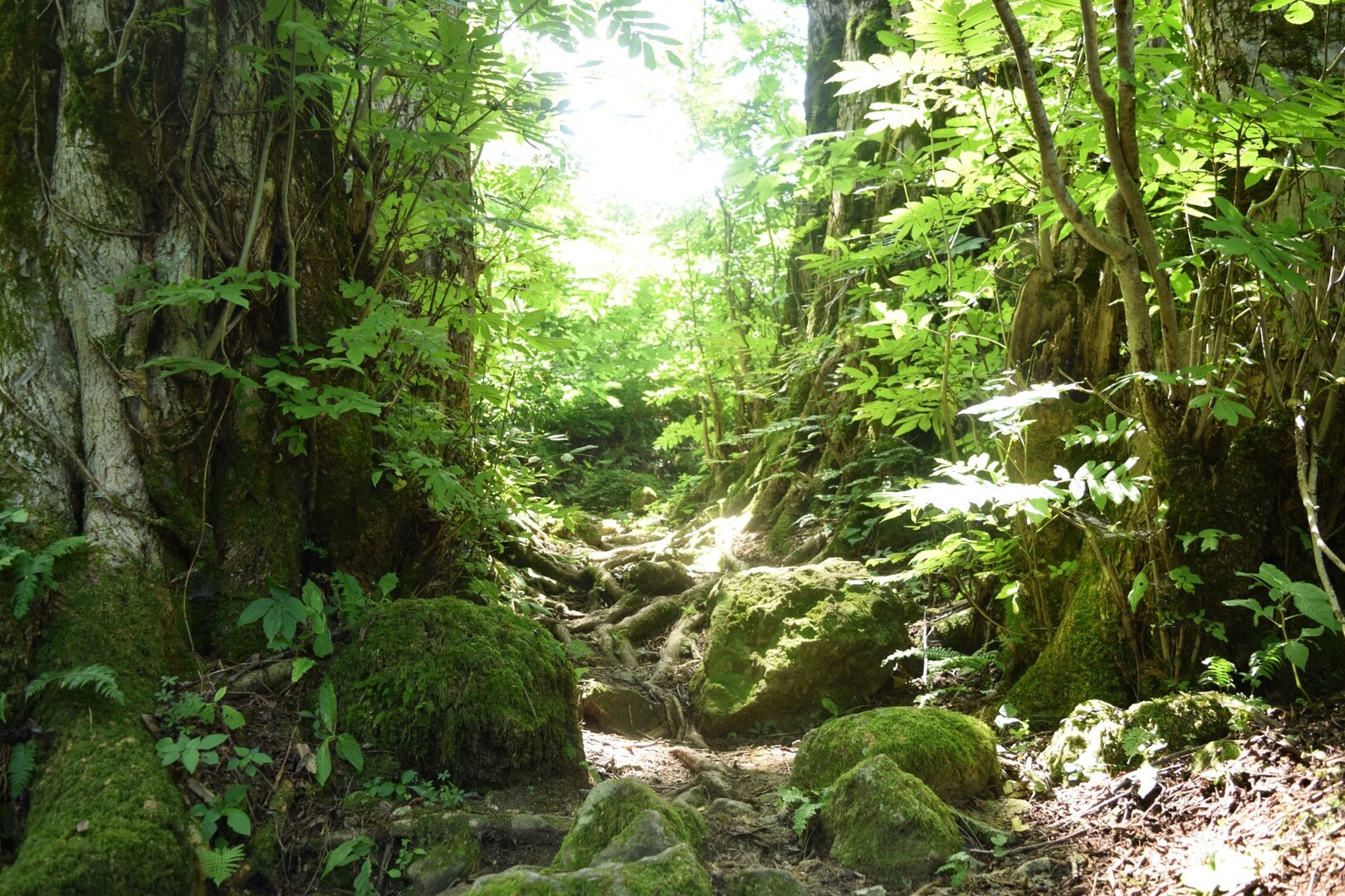 Mckeeのページ | YAMAP / ヤマップ