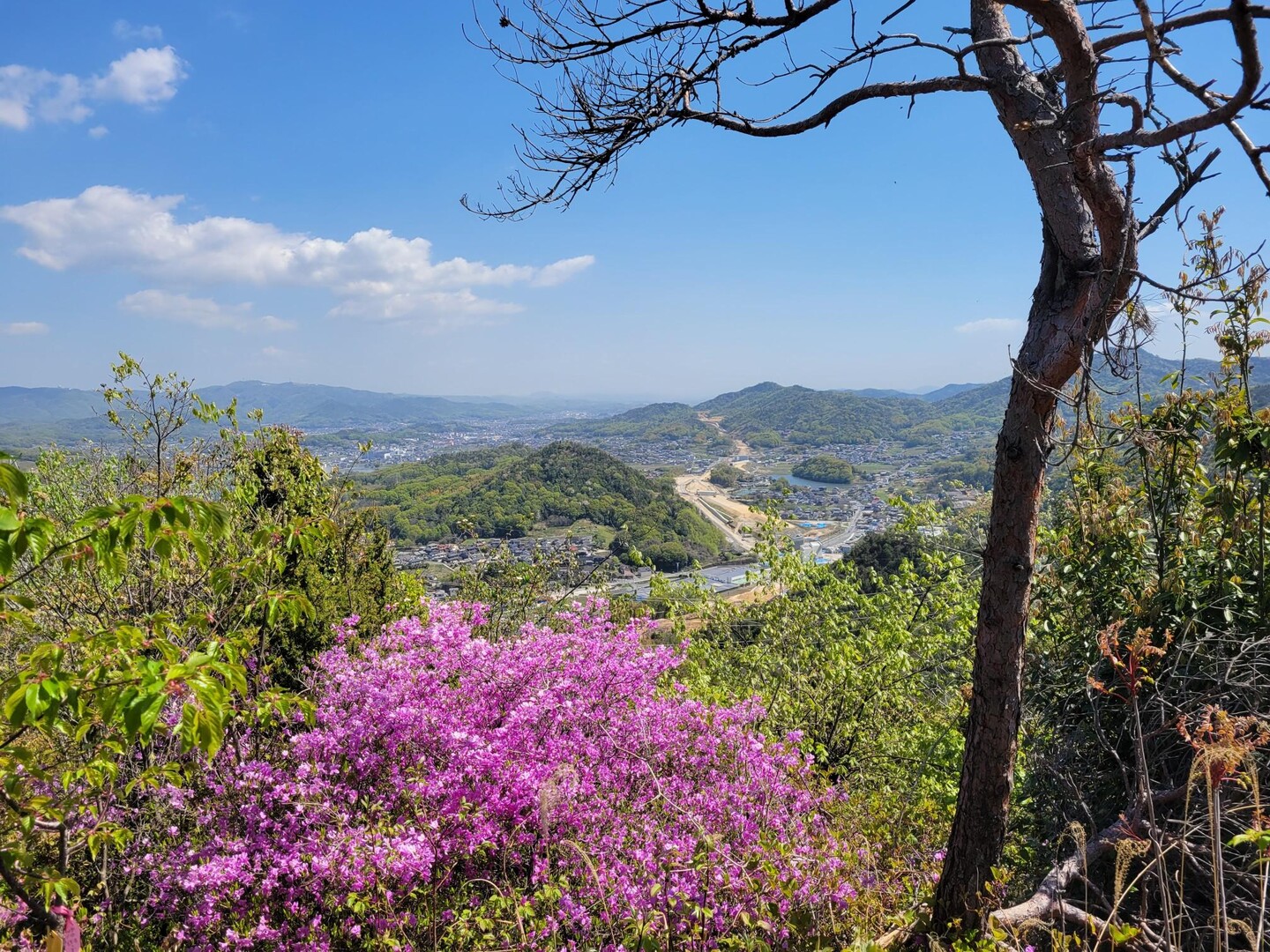 天神山・茶臼山東嶺・茶臼山・西茶臼山・毛野無羅山 / RIMOさんの沙美アルプス（備南アルプス）の活動データ | YAMAP / ヤマップ