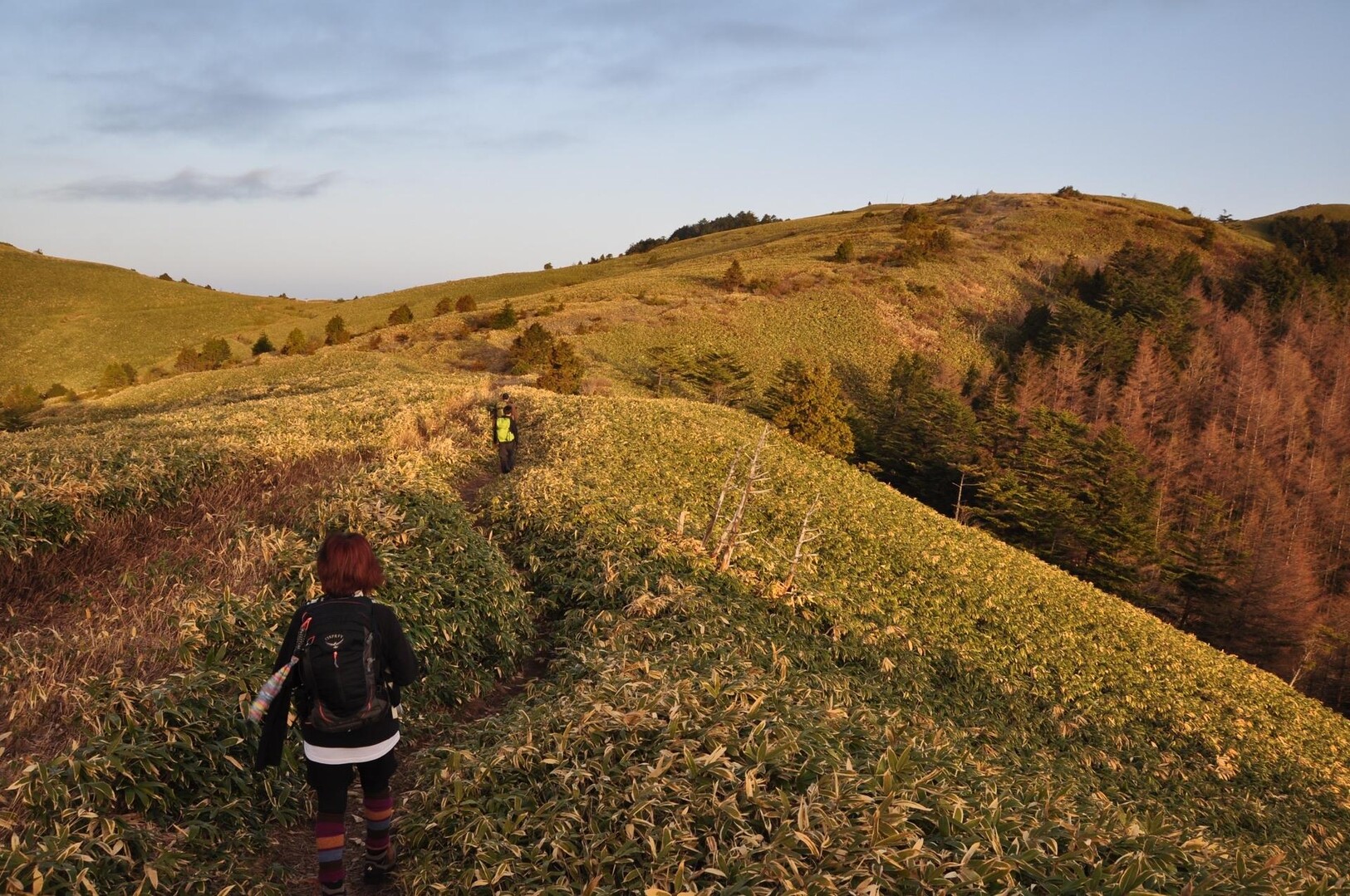 富士見台ふじみたい🗻2023-04-20 / Ayaやさんの恵那山・大判山・神坂山の活動データ | YAMAP / ヤマップ