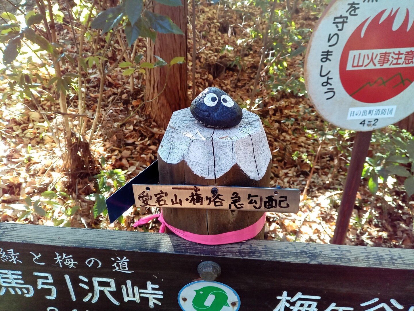 要害山・天狗岩・赤ぼっこ / kyo_koさんの赤ぼっこの活動データ | YAMAP / ヤマップ