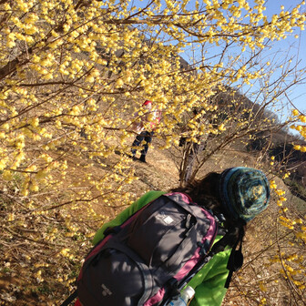 sachinaのページ | YAMAP / ヤマップ