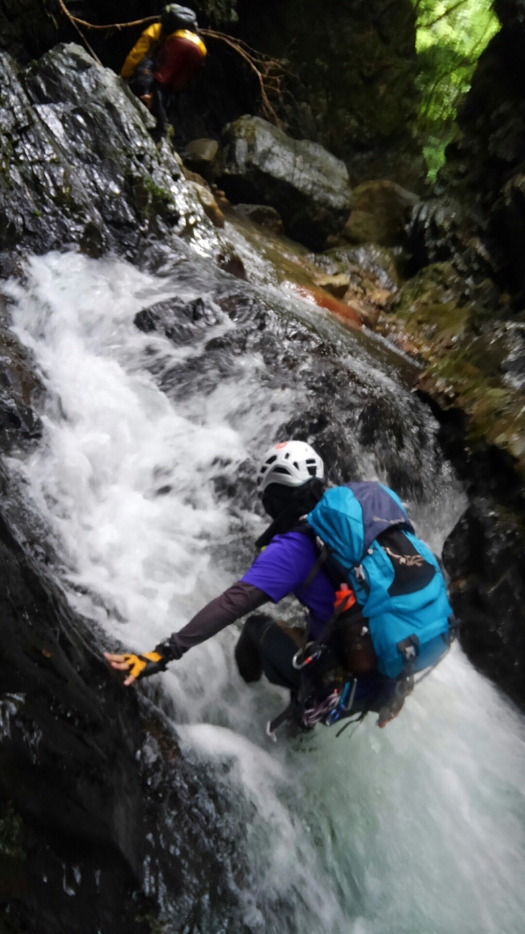 モンベルイベントin比良 明王谷沢登り / RIKU🐕‍🦺 &Jun さんの比良山地・武奈ヶ岳・釈迦岳の活動データ | YAMAP / ヤマップ