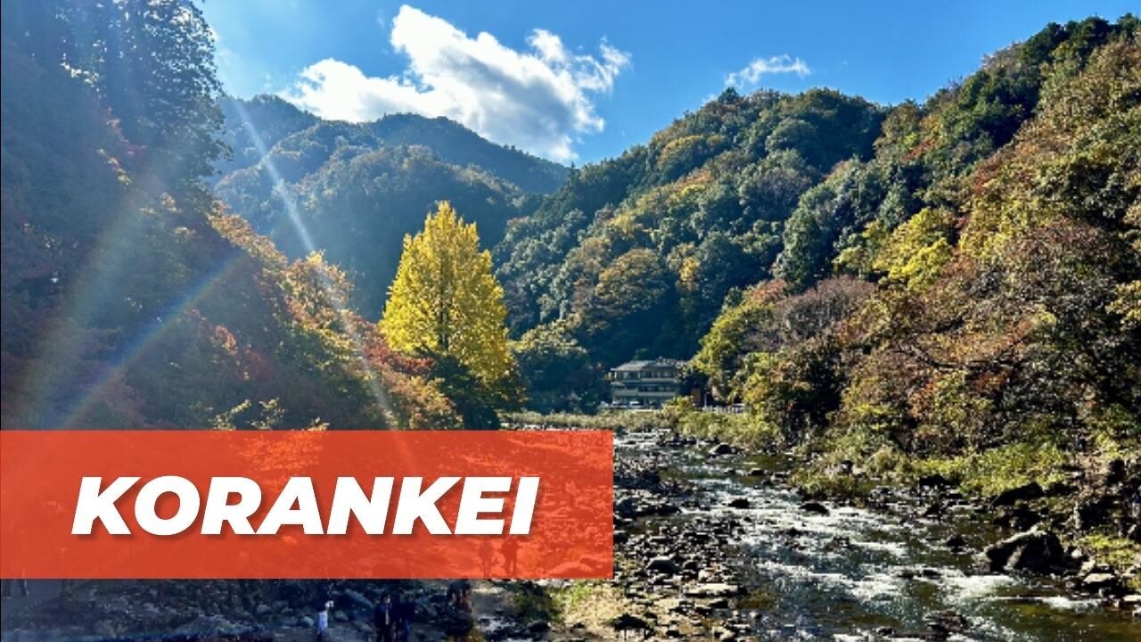 香嵐渓のビデオ🍁😀 https://... / Nandoさんのモーメント | YAMAP / ヤマップ