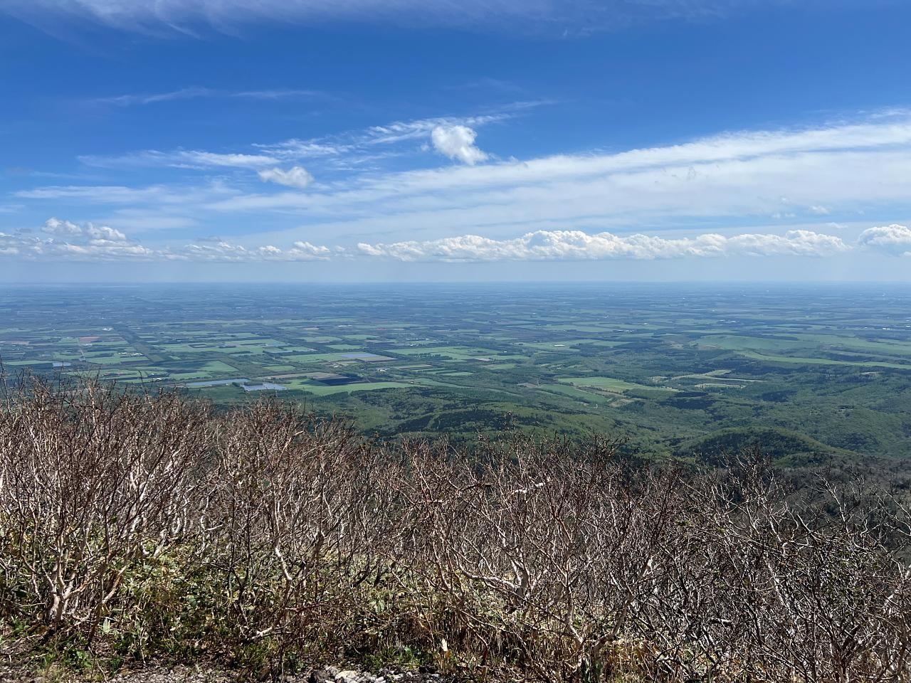 武佐岳の登山道整備 / K.Yamaさんの武佐岳の活動データ | YAMAP / ヤマップ