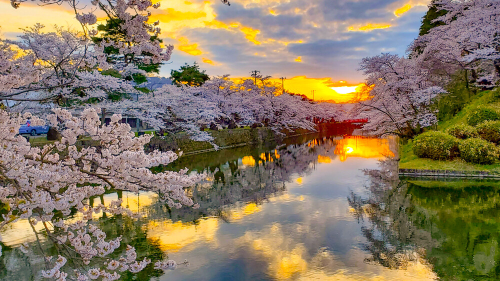 今年もあと少しで桜が満開になりそうで。 ... / Kei2022さんのモーメント | YAMAP / ヤマップ