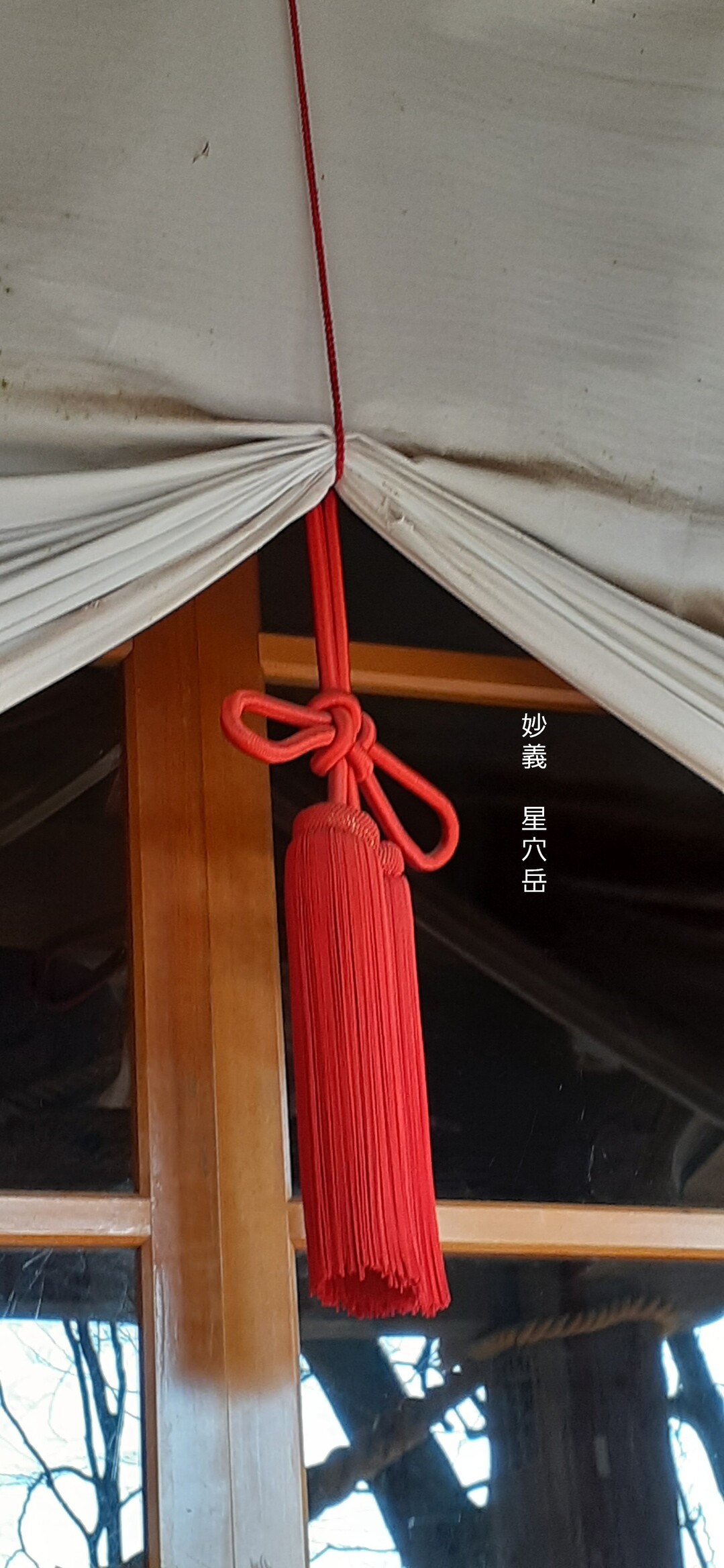 総角結びに願いを込めて🔯星穴岳 / PEAKERさんの妙義山・天狗岳・相馬岳の活動データ | YAMAP / ヤマップ