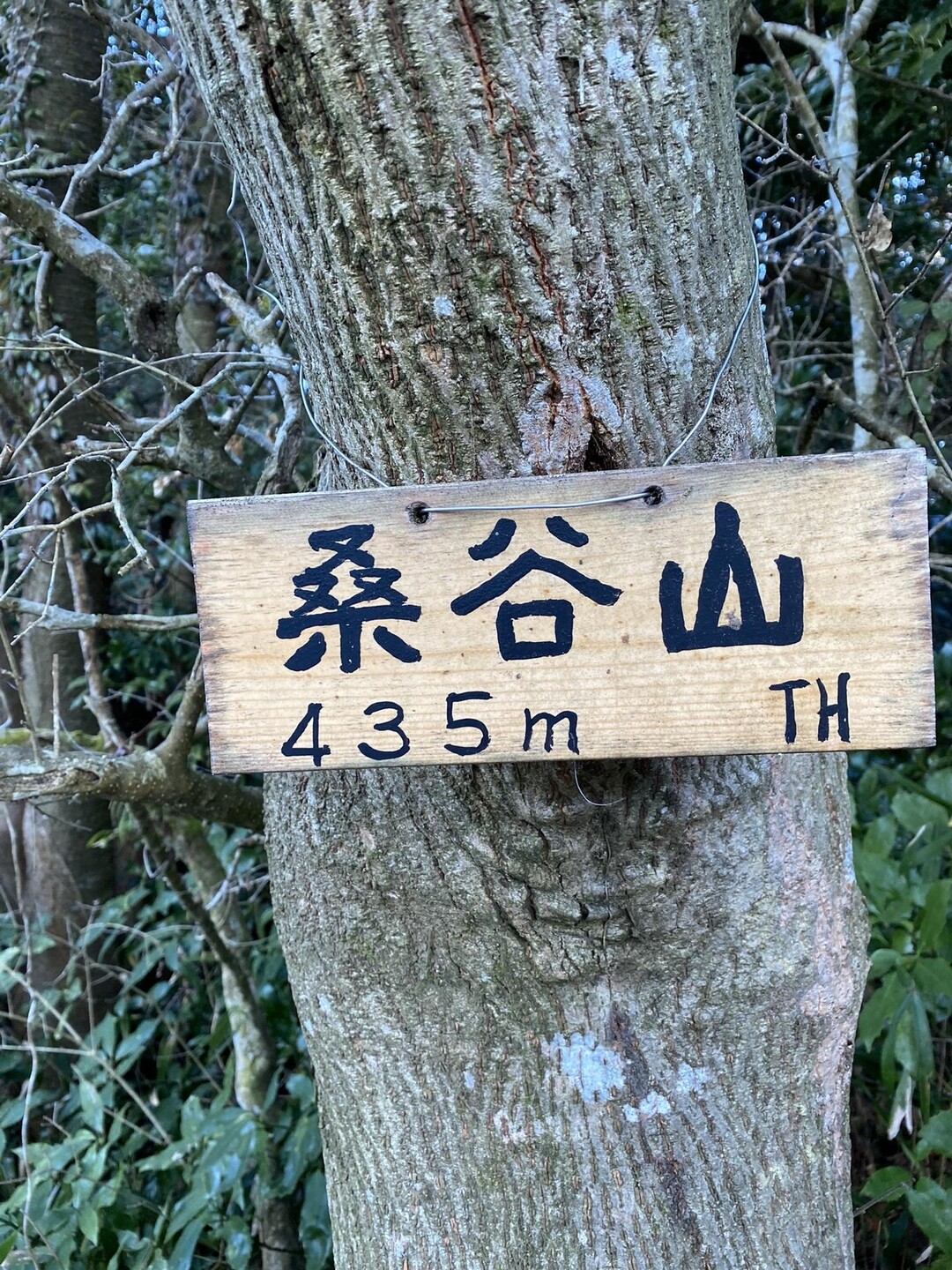 桑谷山 / 130tさんの遠望峰山・桑谷山・聖山の活動データ | YAMAP / ヤマップ