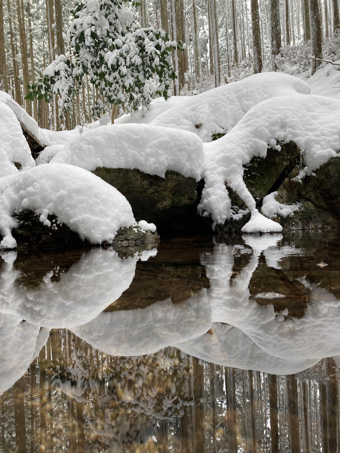 高見山 / mt.take4さんの高見山・黒石山・天狗山の活動データ | YAMAP / ヤマップ