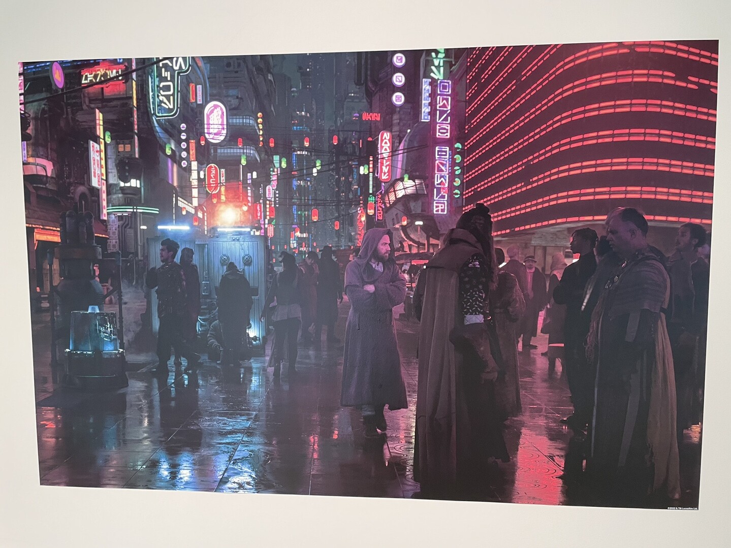 オビワンケノービ https://di... / hideshanさんのモーメント | YAMAP / ヤマップ