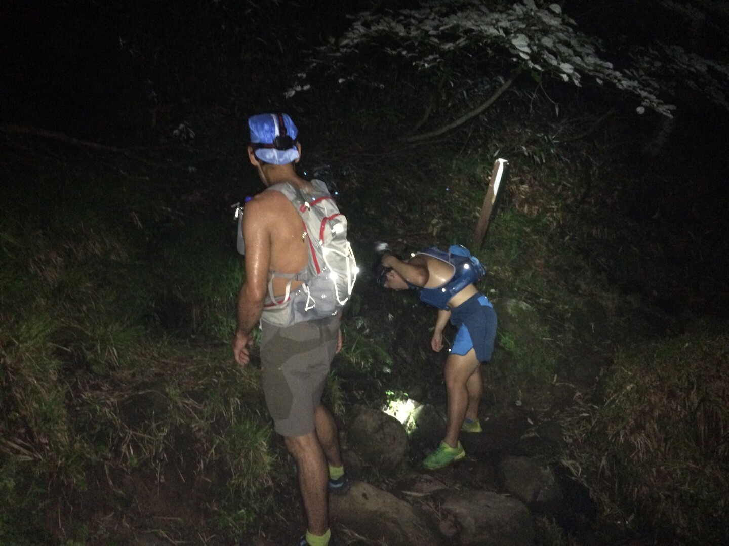 氷ノ山ナイトハキング / k.katoさんの氷ノ山（須賀ノ山）・鉢伏山・瀞川山の活動データ | YAMAP / ヤマップ