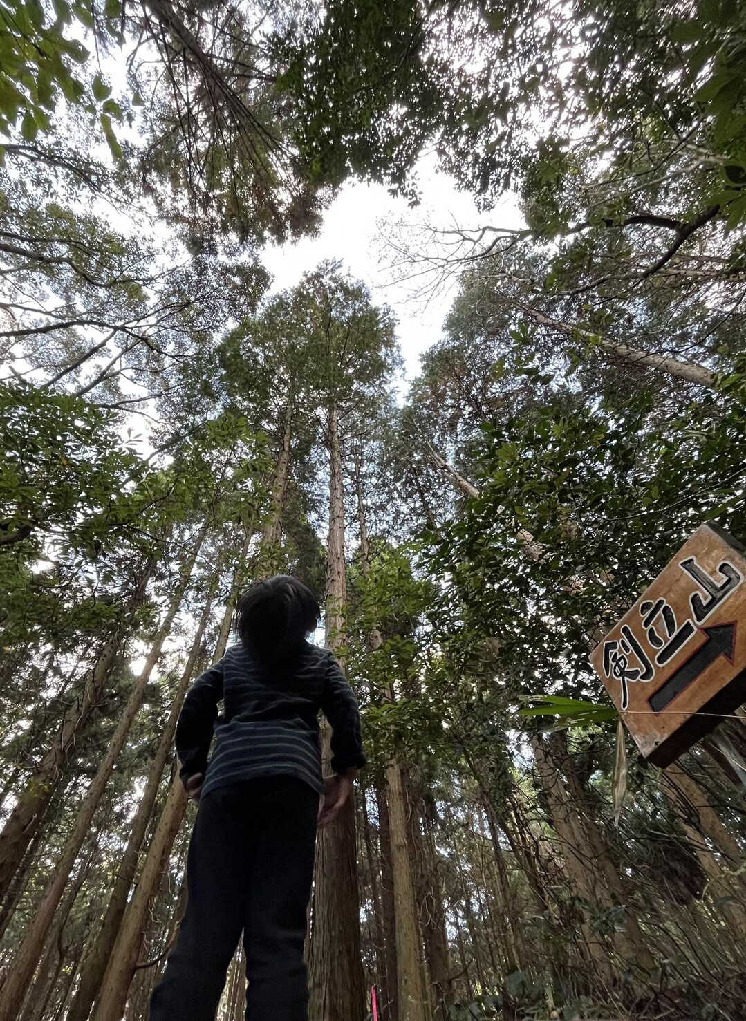 剣立山 / hisashiさんの平尾台・貫山・水晶山の活動データ | YAMAP / ヤマップ