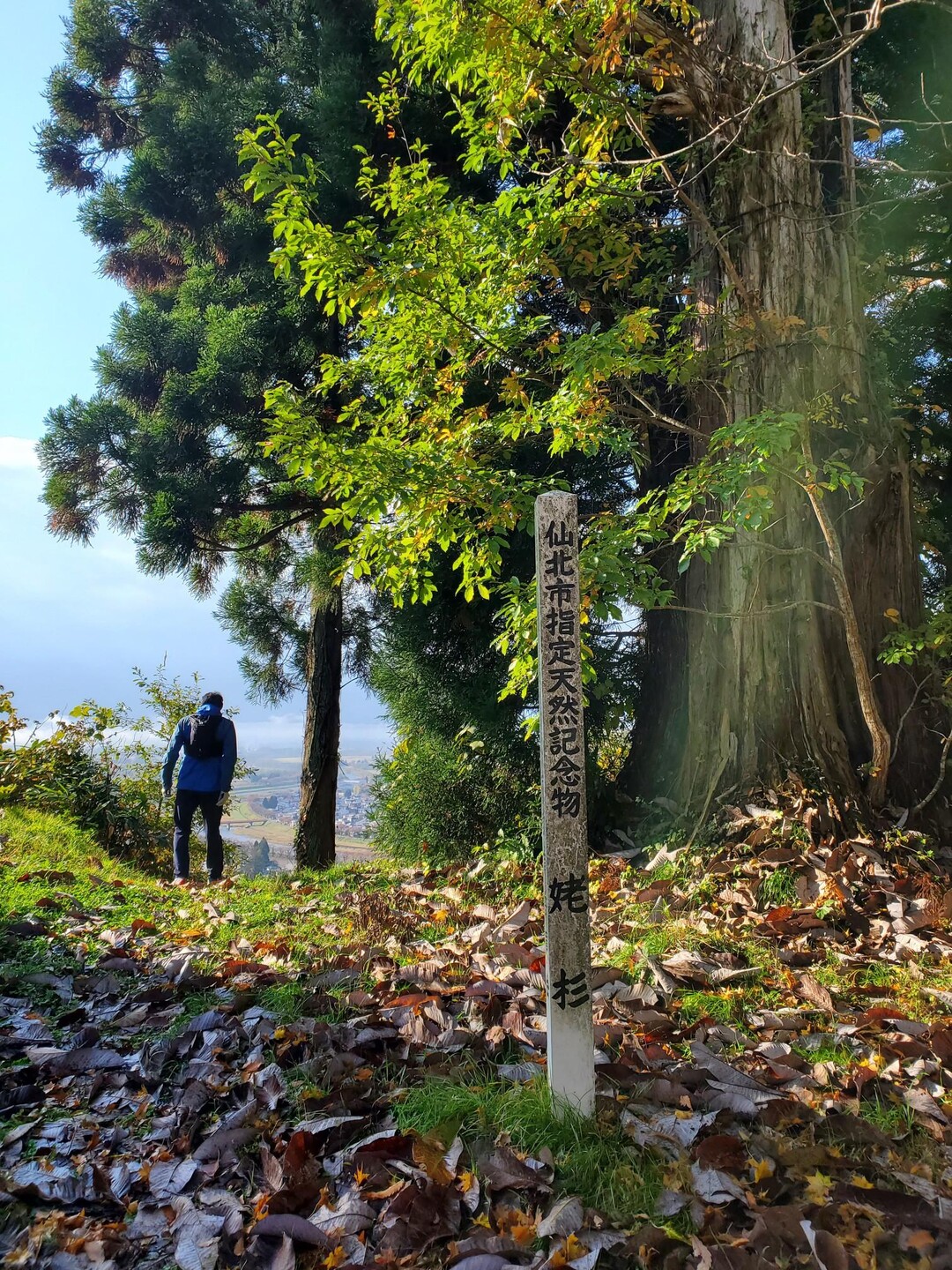古城山 / あべさんの仙北市（角館エリア）の活動データ | YAMAP / ヤマップ