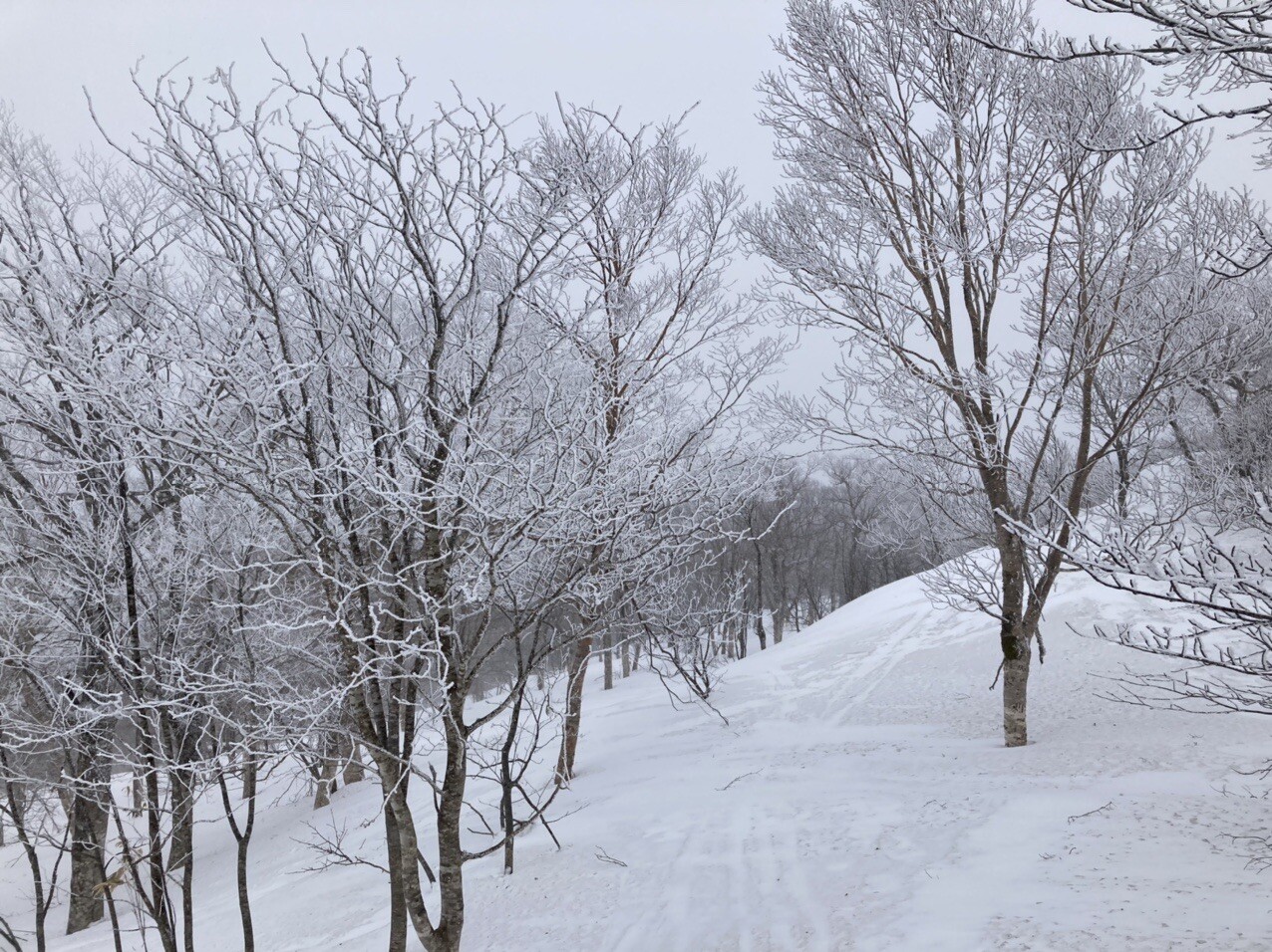 桐ノ木沢山 / chanmikiさんの兜明神嶽（兜明神岳）・岩神山の活動データ | YAMAP / ヤマップ