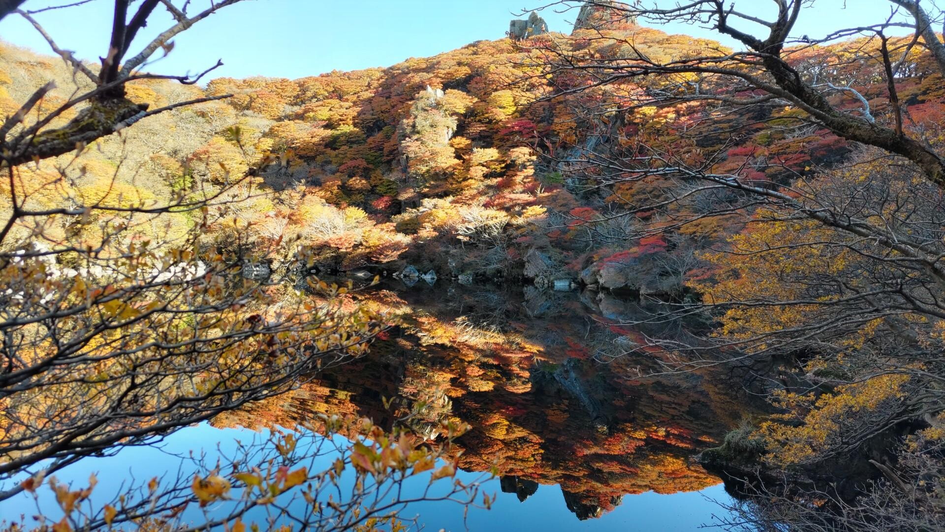 大船山 / pandaさんの九重山（久住山）・大船山・星生山の活動データ | YAMAP / ヤマップ