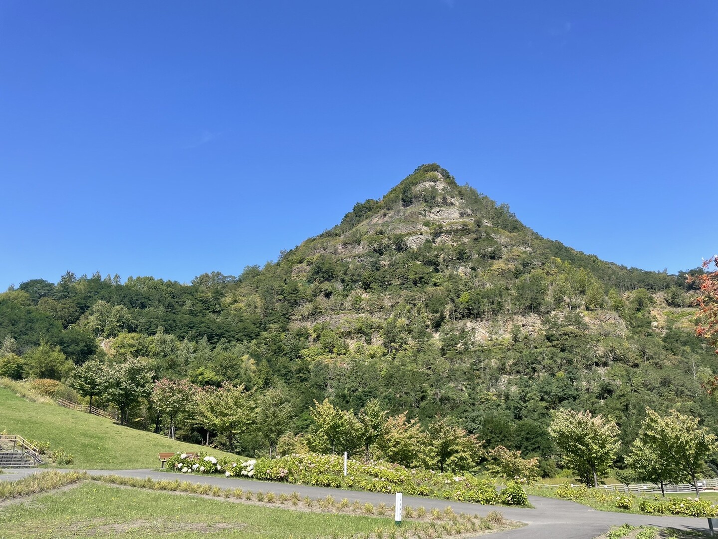 五天山 / akorenaさんの三角山・大倉山・円山の活動データ | YAMAP / ヤマップ