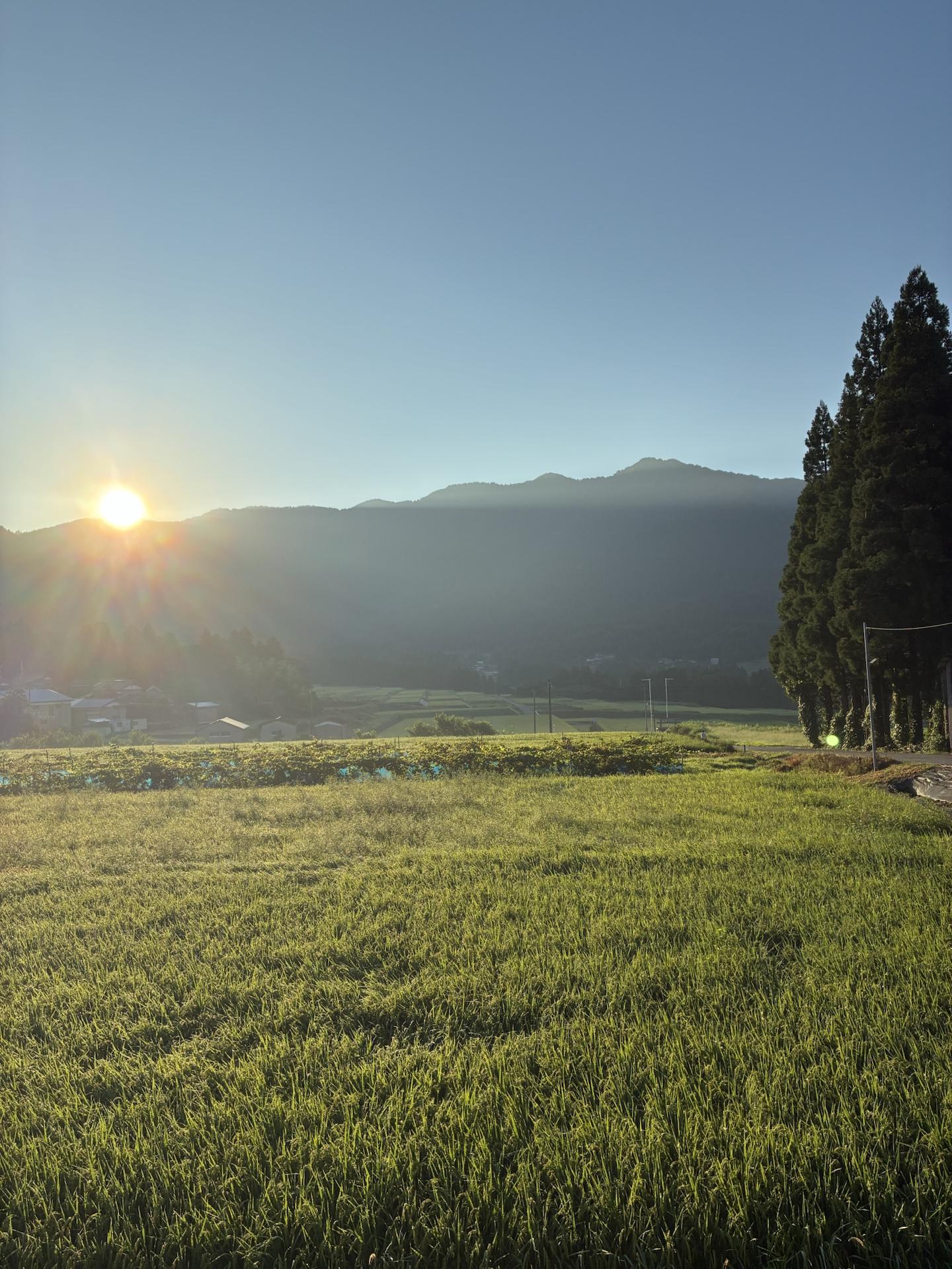 Mrs. GREEN APPLE「夏の影」 越前大野巡礼編 / こうざんさんのウォーキングの活動データ | YAMAP / ヤマップ
