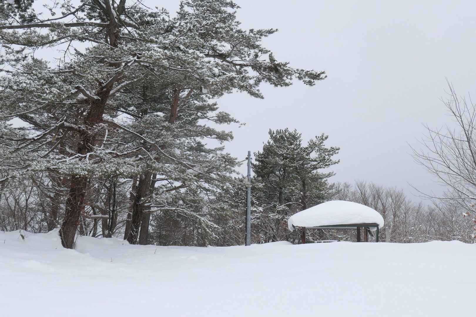 夜越山スノーハイク / yama0028さんの高森山・屋敷山の活動データ | YAMAP / ヤマップ