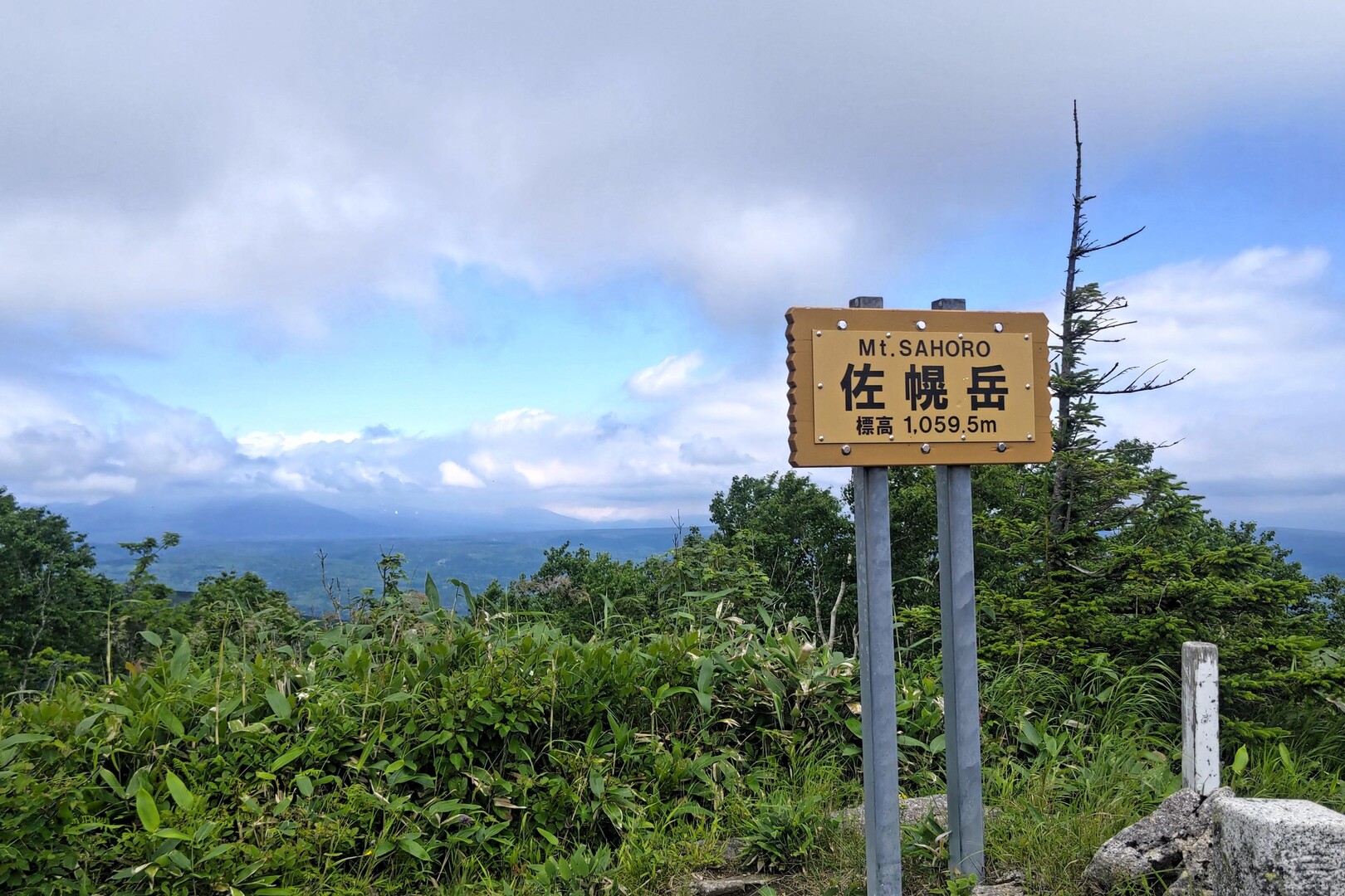 桜山・佐幌岳 / Catさんの佐幌岳の活動データ | YAMAP / ヤマップ