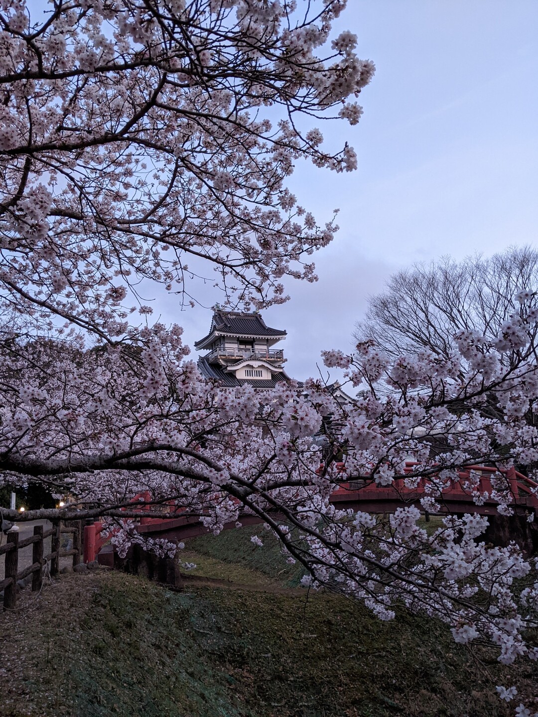 小山城 / AWA-MANさんのウォーキングの活動データ | YAMAP / ヤマップ