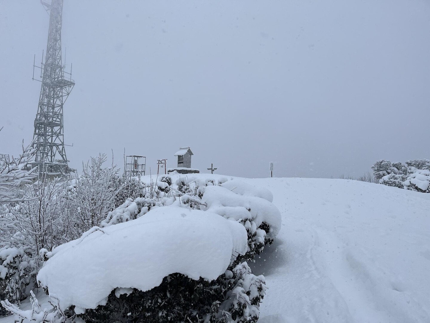 白木山 / Az-Tora-Macさんの登山の活動データ | YAMAP / ヤマップ
