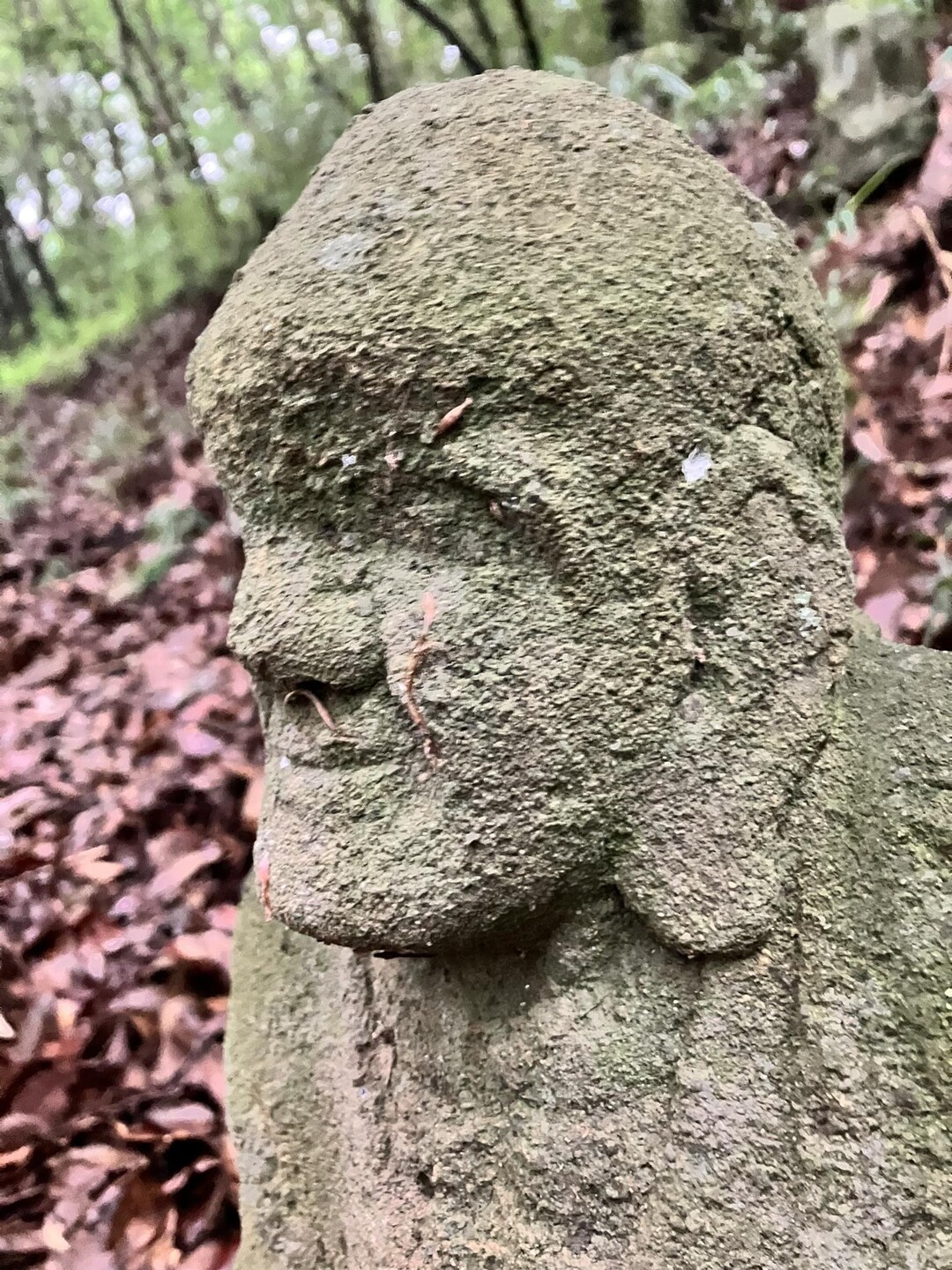 鐘撞堂山2nd 一周 / K Gさんの宝登山・長瀞アルプス・不動山・陣見山・鐘撞堂山の活動データ | YAMAP / ヤマップ