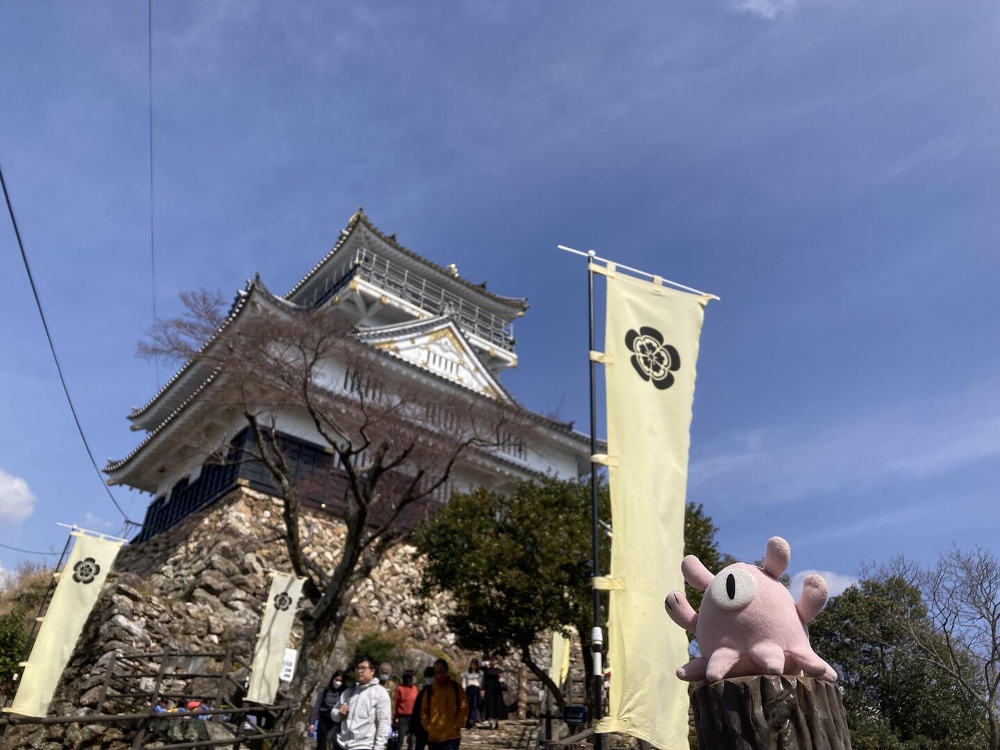 1st 金華山 GTで2️⃣0️⃣0️⃣座登頂 何だっけあの山の形 何て言うんだっけ / 福ちゃん さんの金華山・洞山・舟伏山の活動データ | YAMAP / ヤマップ