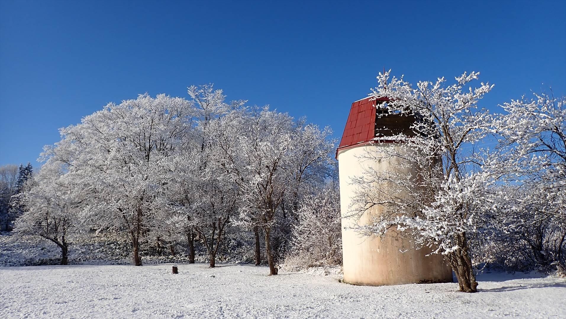 さくらの里東屋までウォーキング / akadake5さんの武佐岳の活動データ | YAMAP / ヤマップ