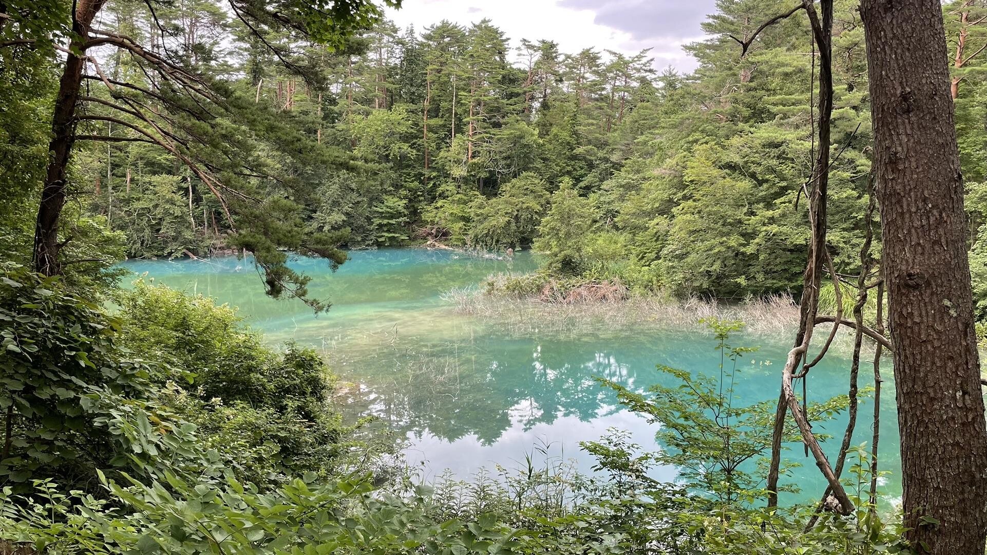 桧原湖・五色沼 / KSさんの磐梯山・雄国山・赤埴山の活動データ | YAMAP / ヤマップ