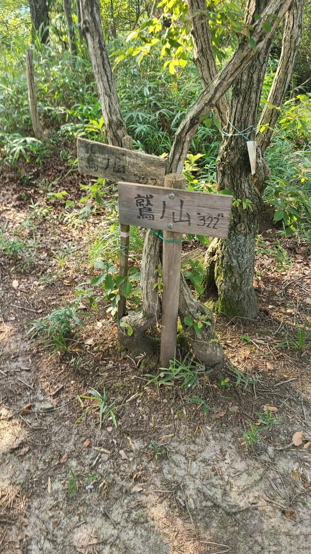 セコセコピークハント④(鷲ノ山) / kaz23さんの火ノ山・十瓶山の活動データ | YAMAP / ヤマップ