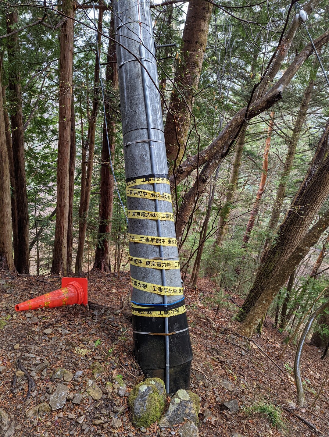 鴨沢〜雲取山（勇気ある撤退） / yayoiさんの雲取山・鷹ノ巣山・七ツ石山の活動データ | YAMAP / ヤマップ