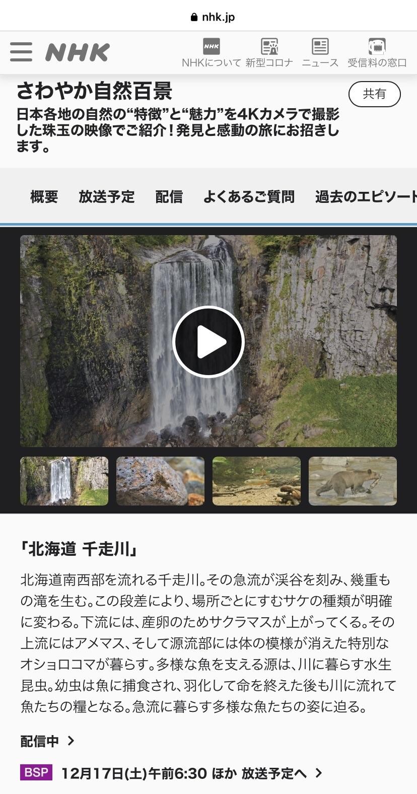 _φ(･_･ https://plus... / ツルさんのモーメント | YAMAP / ヤマップ