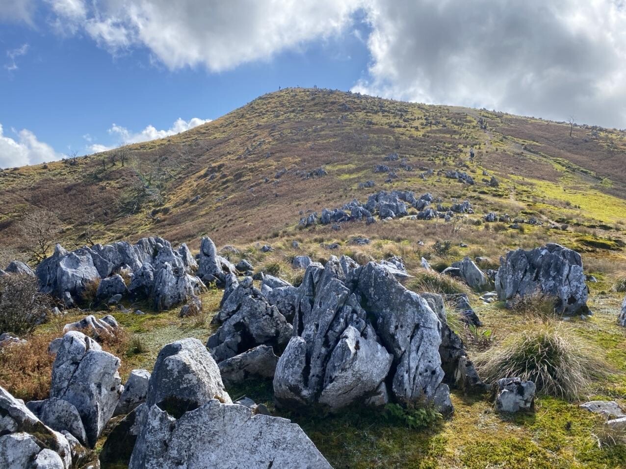 経塚山・霊仙山・霊仙山最高点・南霊岳 / みしまるGTさんの霊仙山の活動データ | YAMAP / ヤマップ