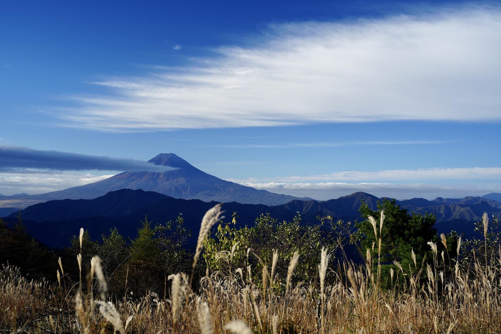 大蔵高丸・ハマイバ丸・白谷ノ丸 / ma-sa-kiさんの甲州高尾山・宮宕山・源次郎岳の活動データ | YAMAP / ヤマップ