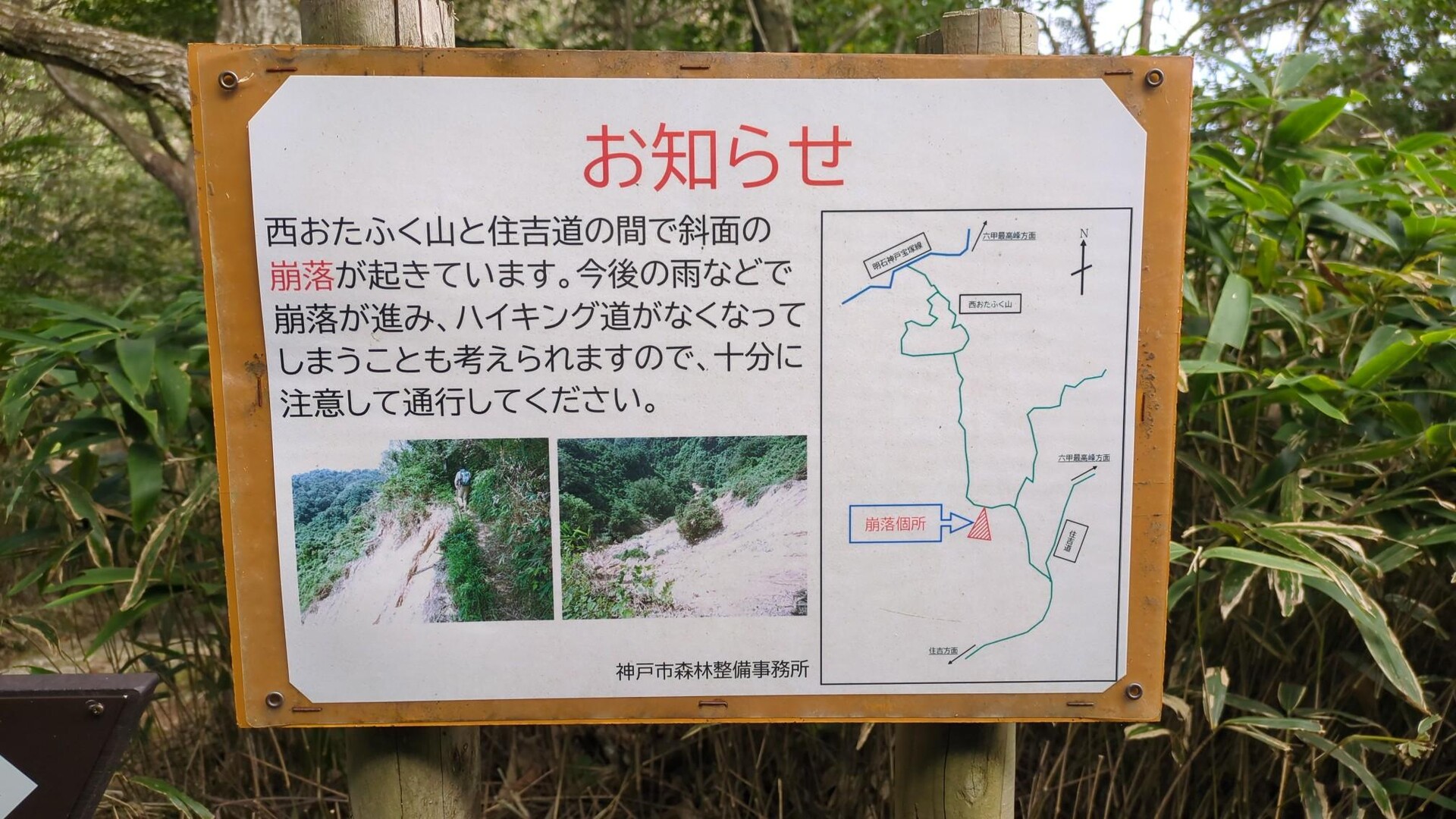 やまにゃんこさんの投稿したフィールドメモ | YAMAP / ヤマップ