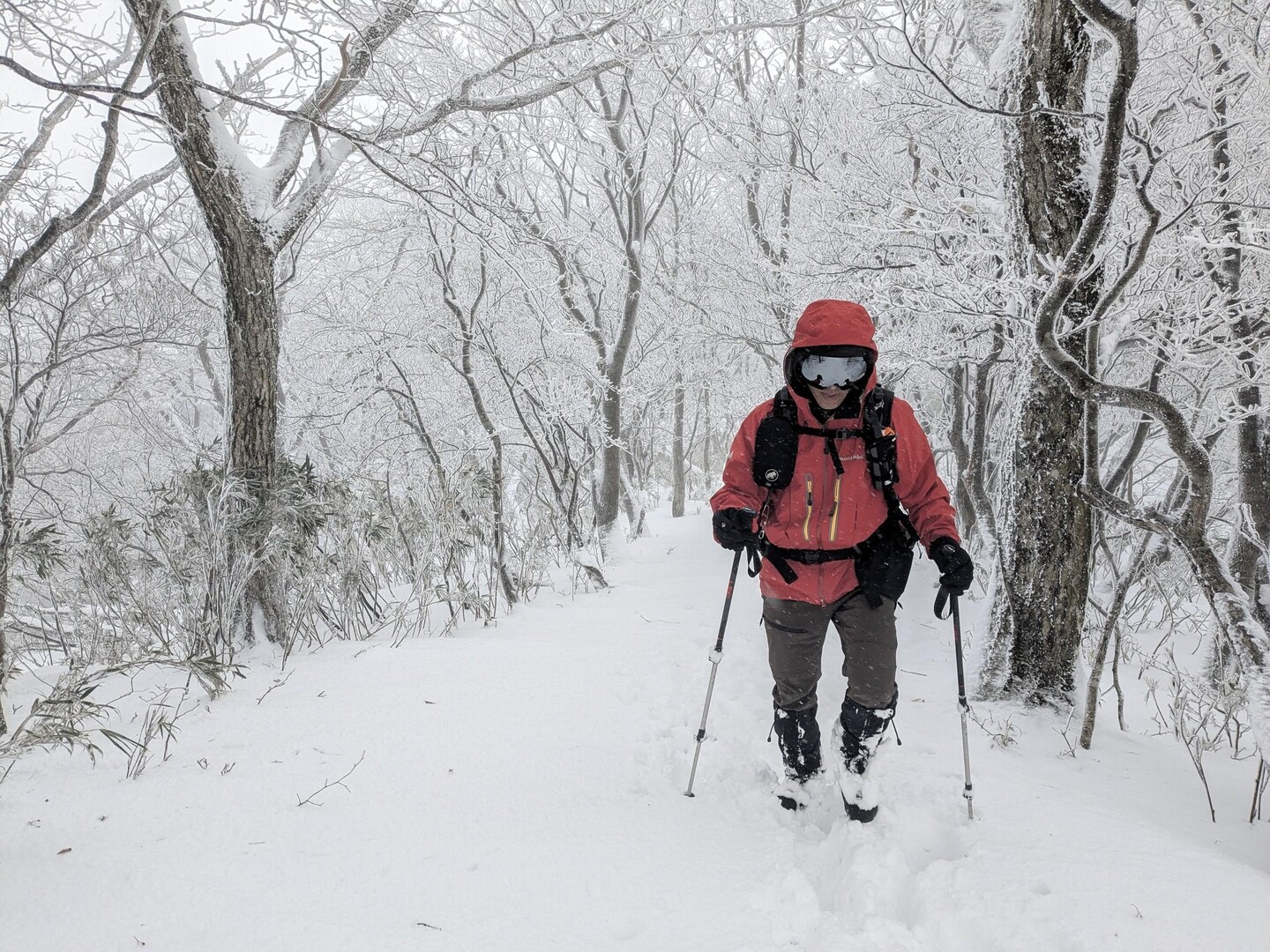 貝月山 / gifu.redさんの貝月山の活動データ | YAMAP / ヤマップ