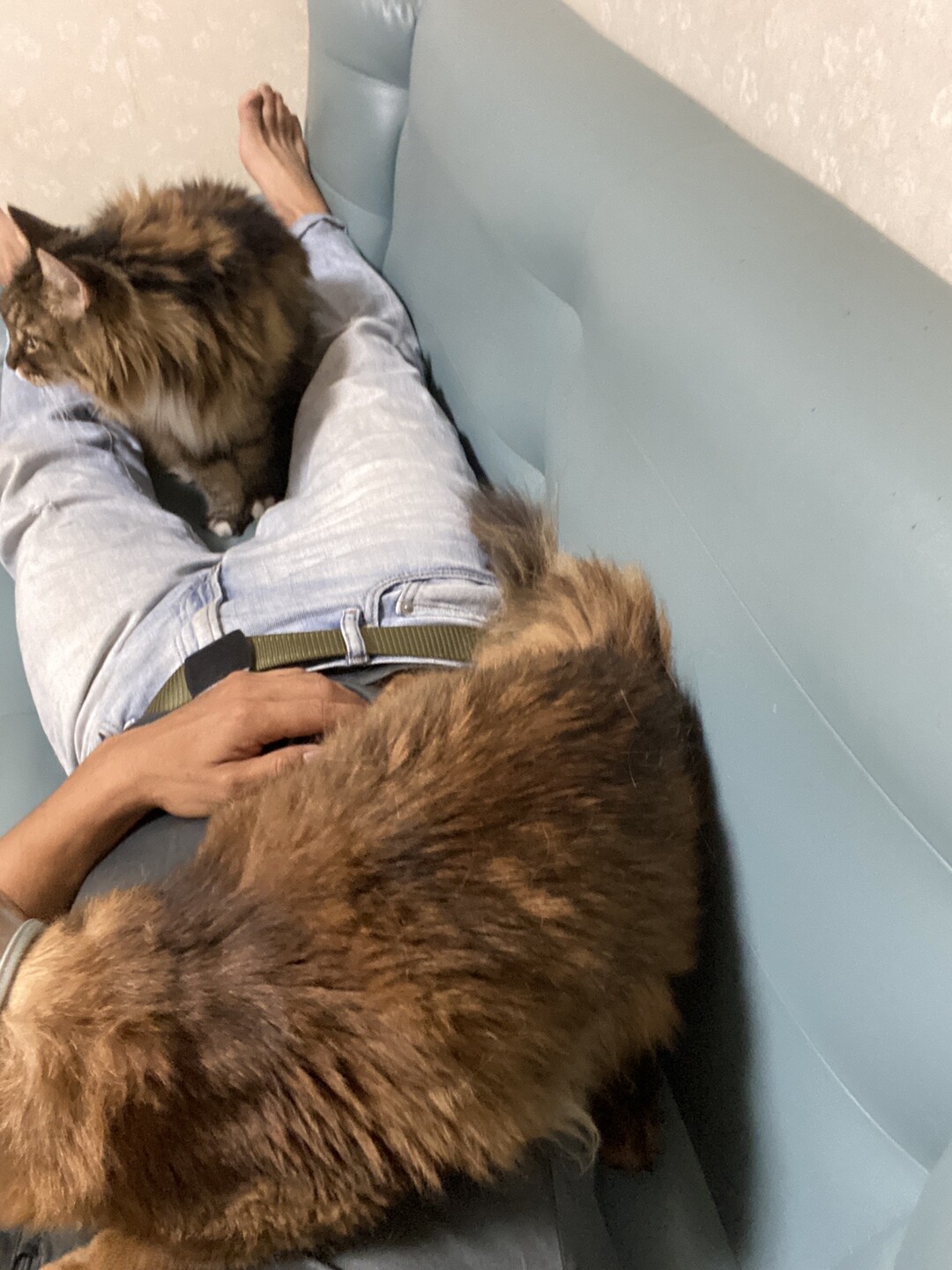 天気や事情や人に邪魔され、山行ってなんだ... / T.Haradaさんのモーメント | YAMAP / ヤマップ