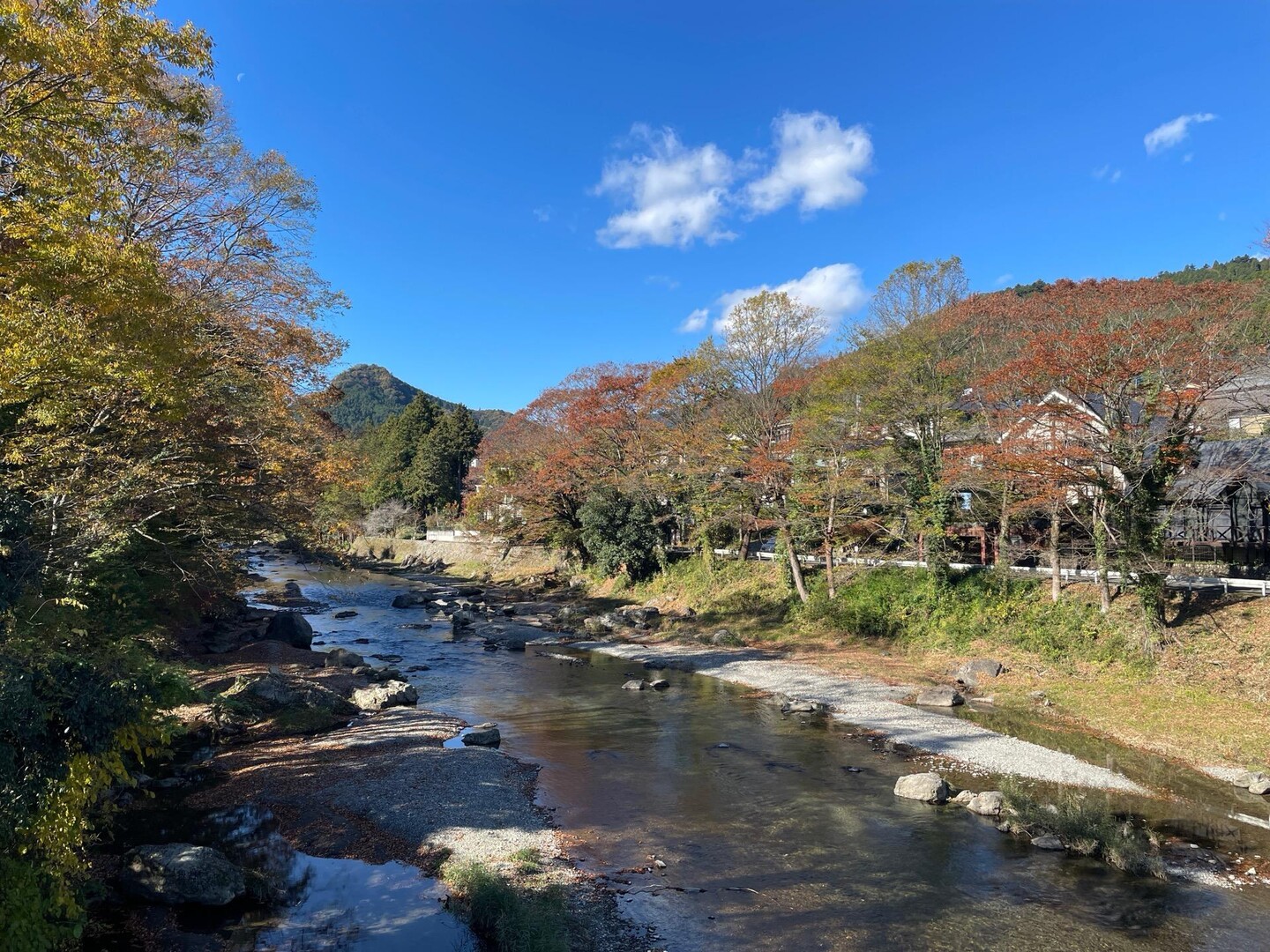 城山 / hal0330さんの臼杵山・市道山・刈寄山の活動日記 | YAMAP / ヤマップ